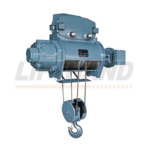 Hitachi Size Electric Wire Rope Hoist---- Hoist Manufacturer LiftHand